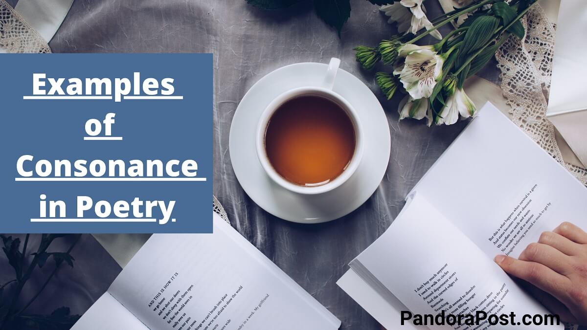 Definition Examples Of Consonance In Poetry Pandora Post definition-examples-of-consonance-in-poetry-pandora-post